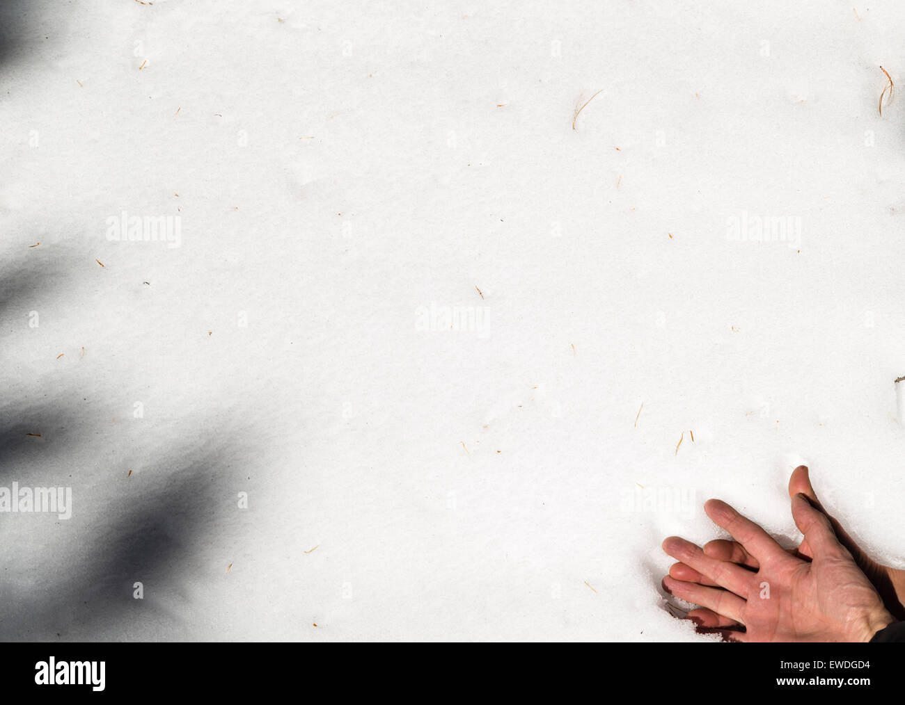 Couple hug shadows hi-res stock photography and images - Alamy