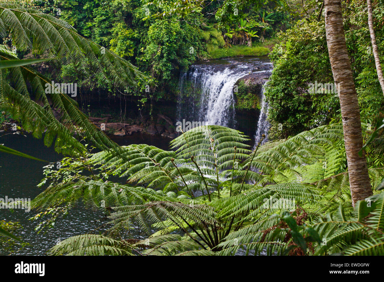 The CHAMPEE WATERFALL is located on the BOLAVEN PLATEAU near PAKSE ...