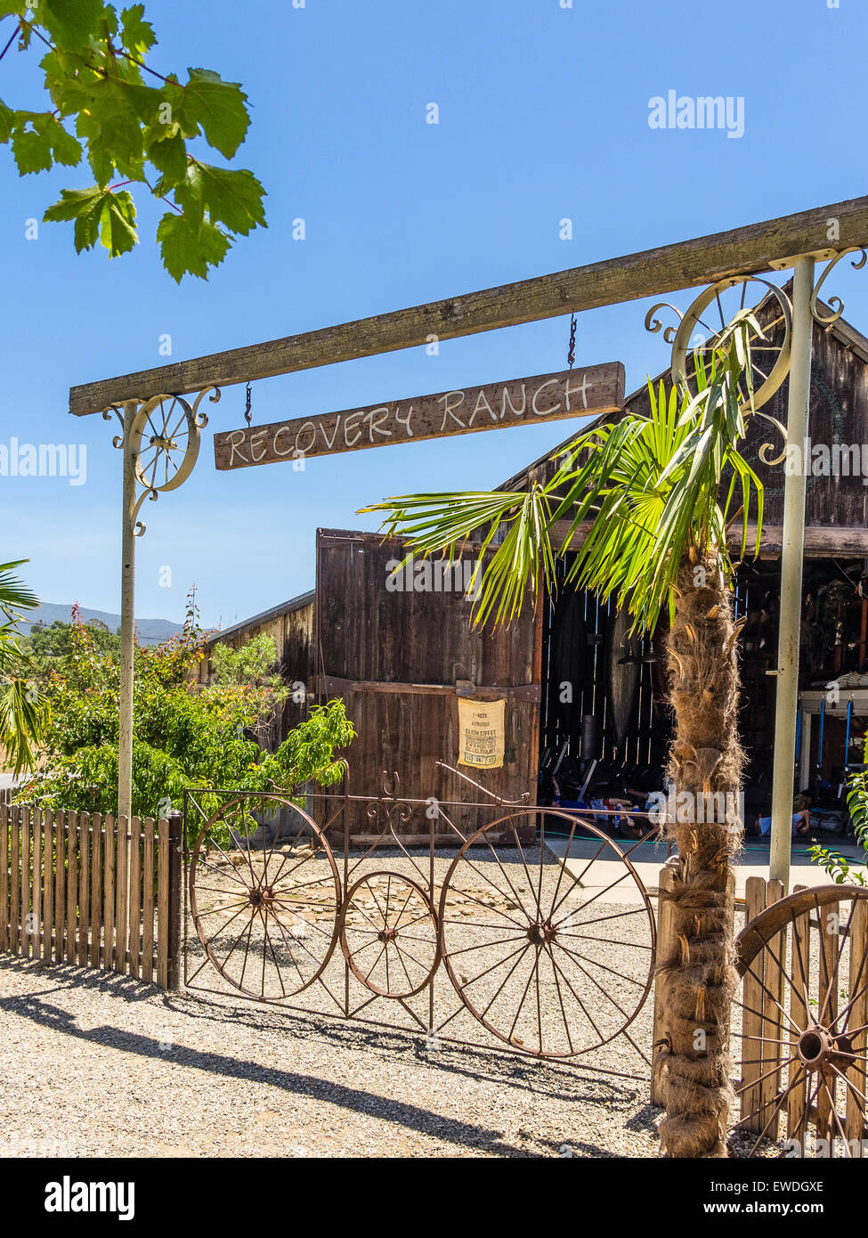 Recover alcohol hi-res stock photography and images - Alamy