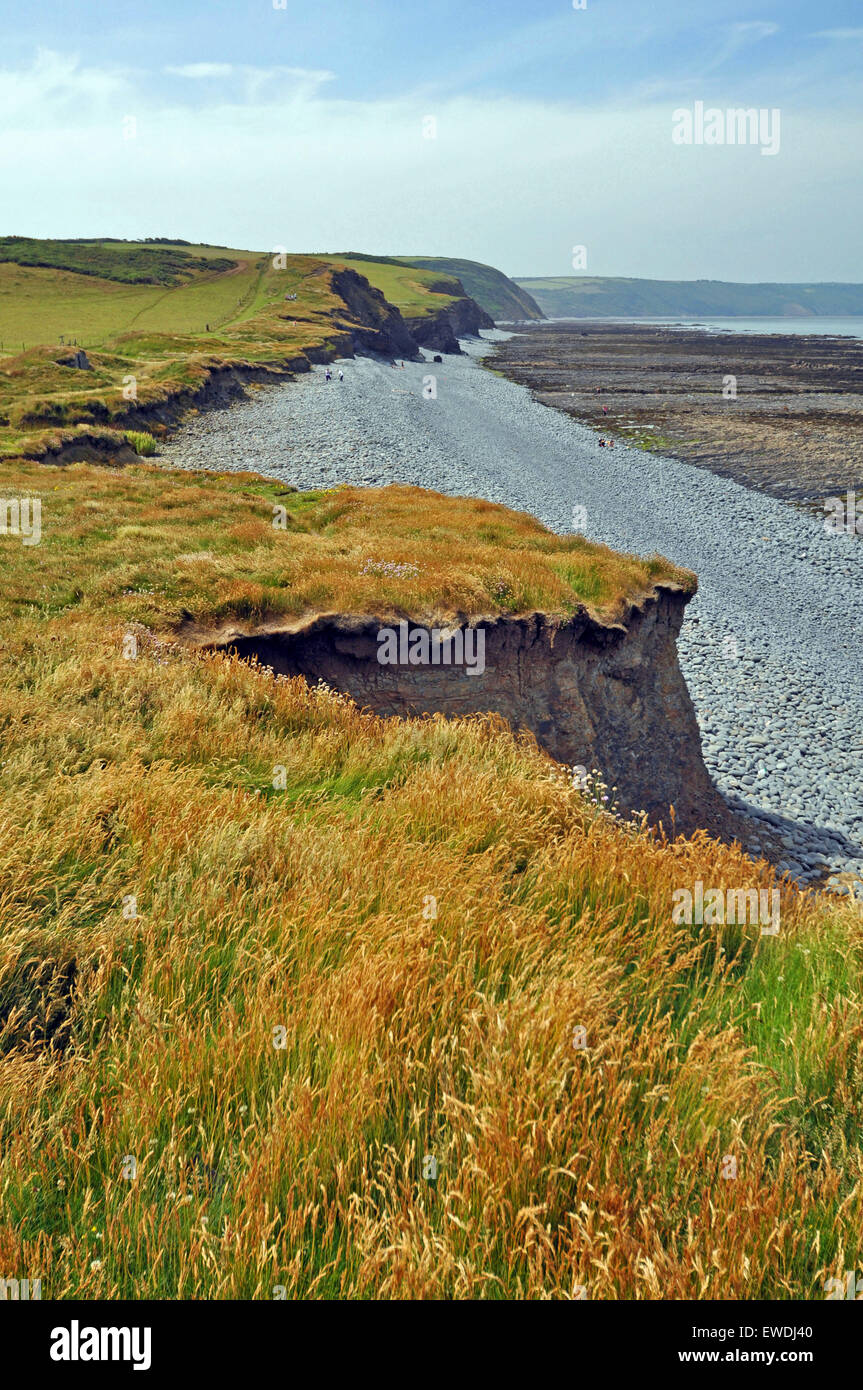 The route of the Southwest Coast Path, at Abbotsham Cliff, Westward Ho ...