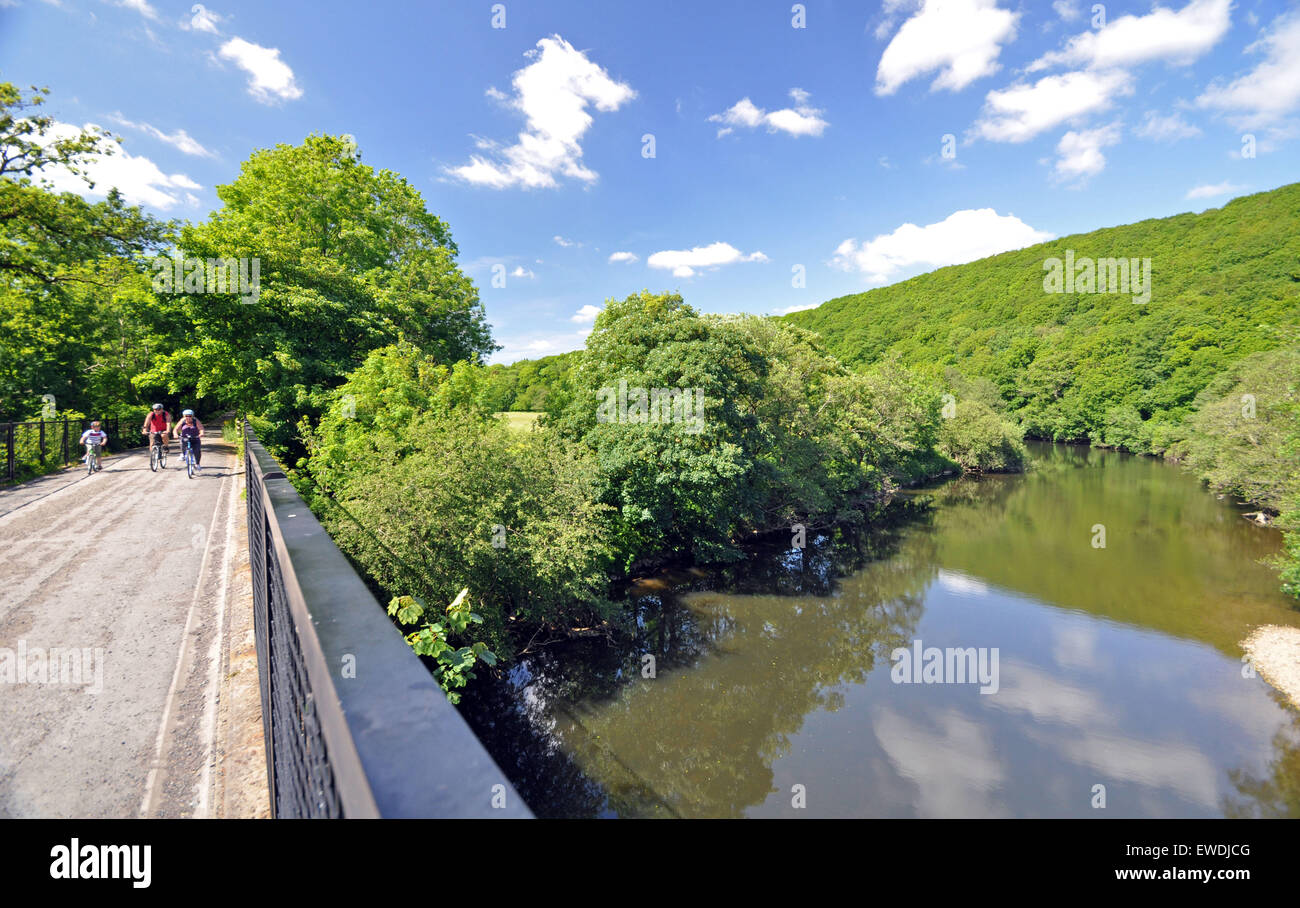 The River Torridge from the Tarka Trail near Great Torrington, North ...