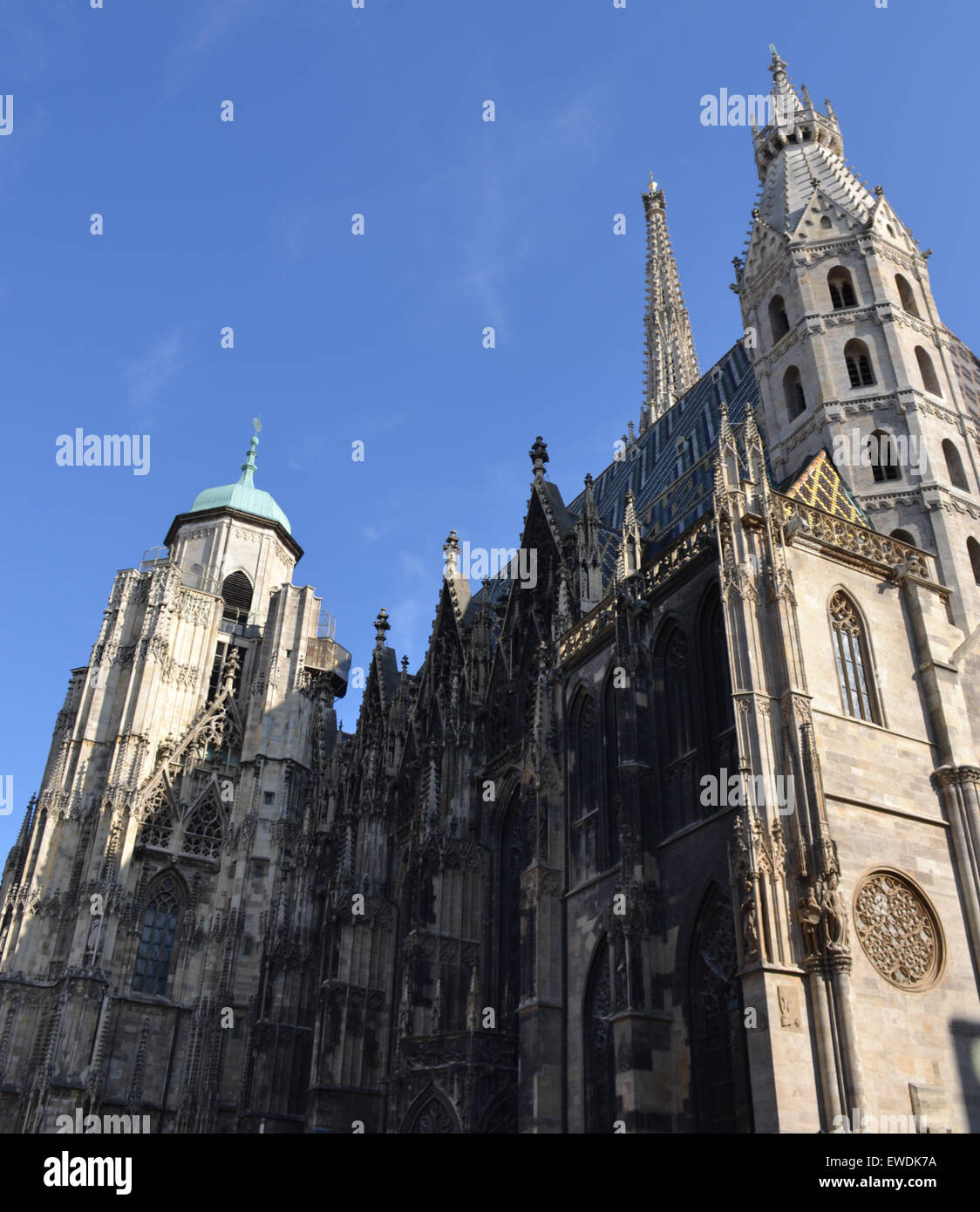 St. Stephan Cathedral in Vienna, Austria Stock Photo - Alamy