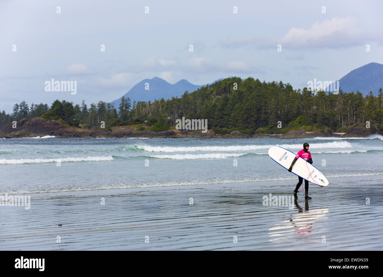 Female surfer in Tofino, British Columbia Stock Photo - Alamy