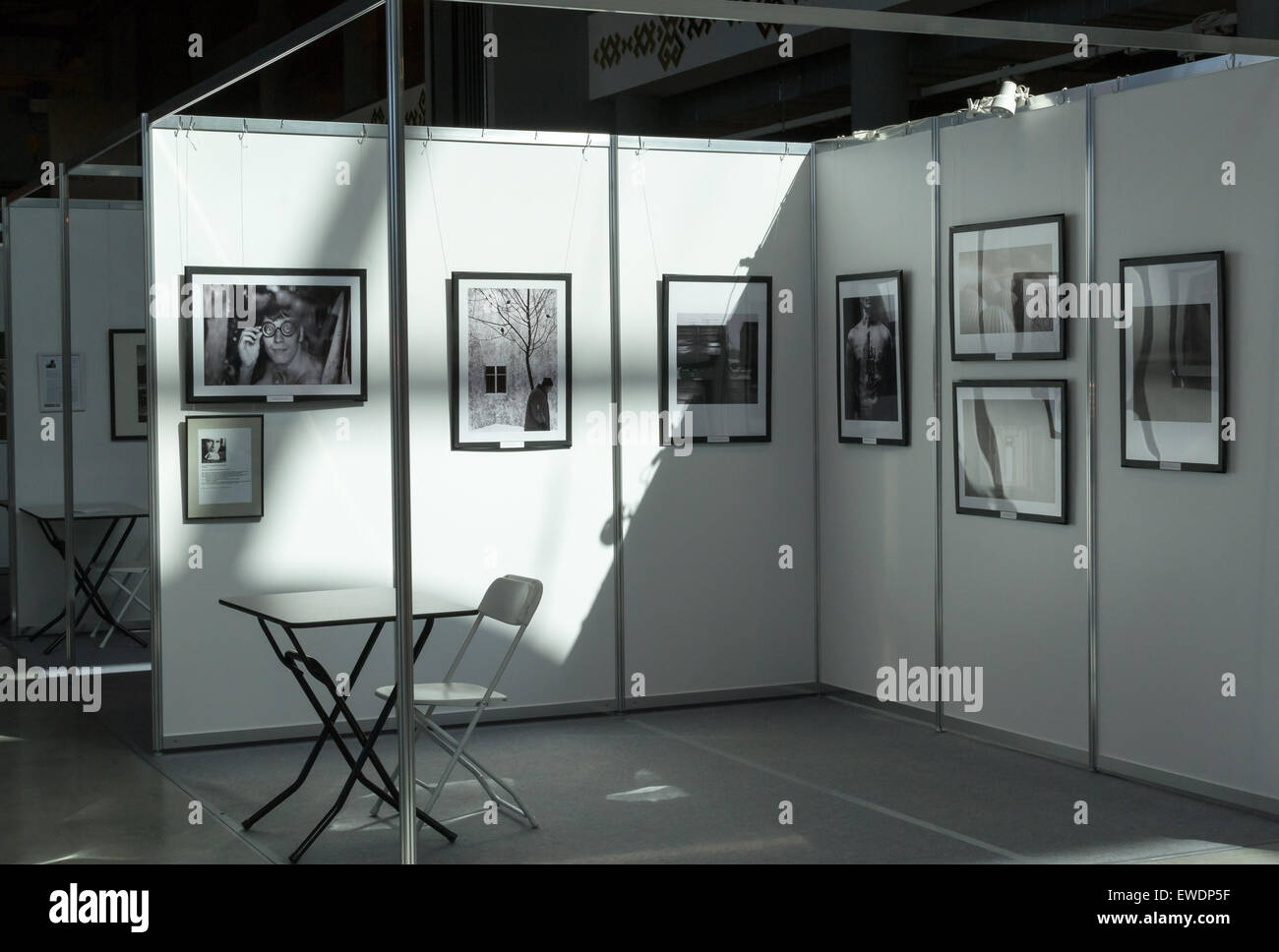 Deserted modern art gallery display with artistic images on display in ...