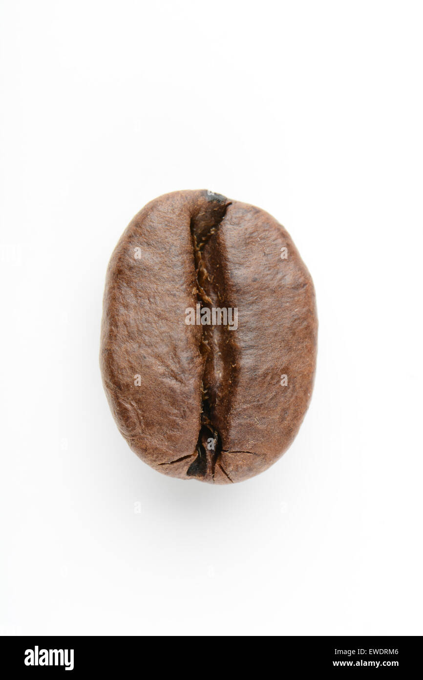 One coffee bean Stock Photo - Alamy