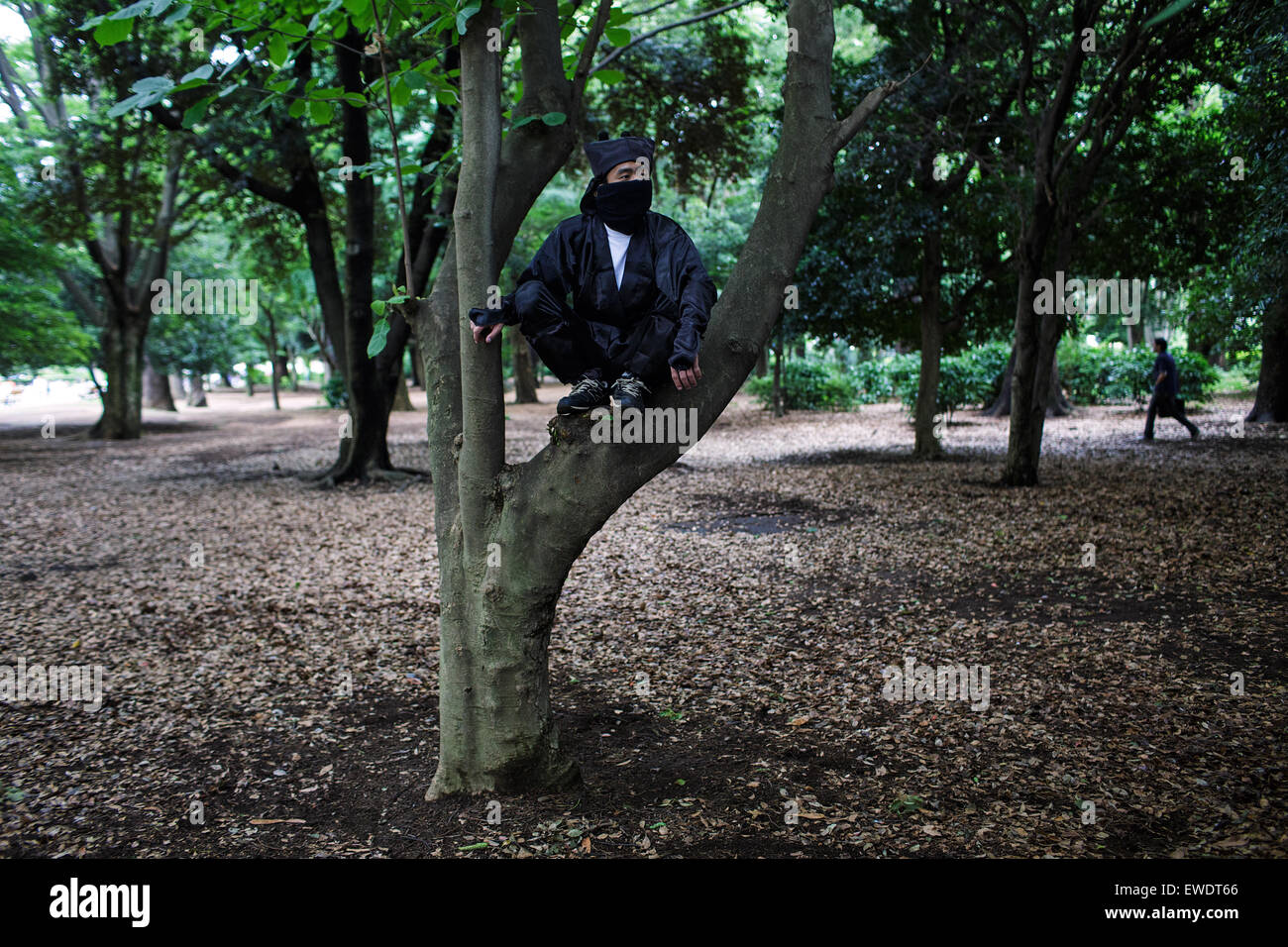 A man dressed in ninja outfit on a tree in Yoyogi park in Shibuya ...