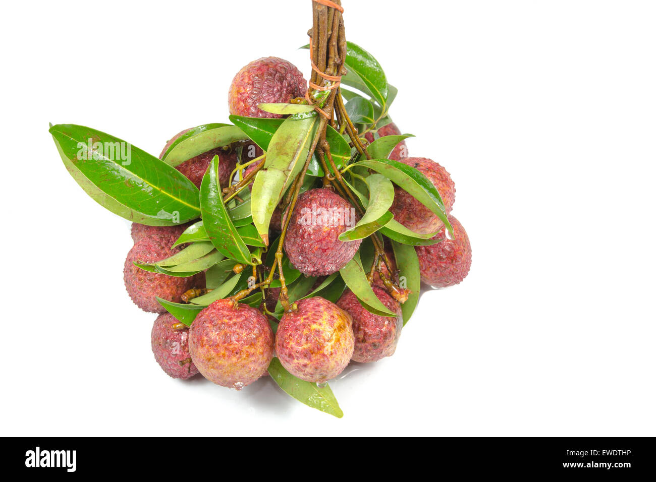 Rainy season is the most suitable for Lychee in Thailand, can easily ...