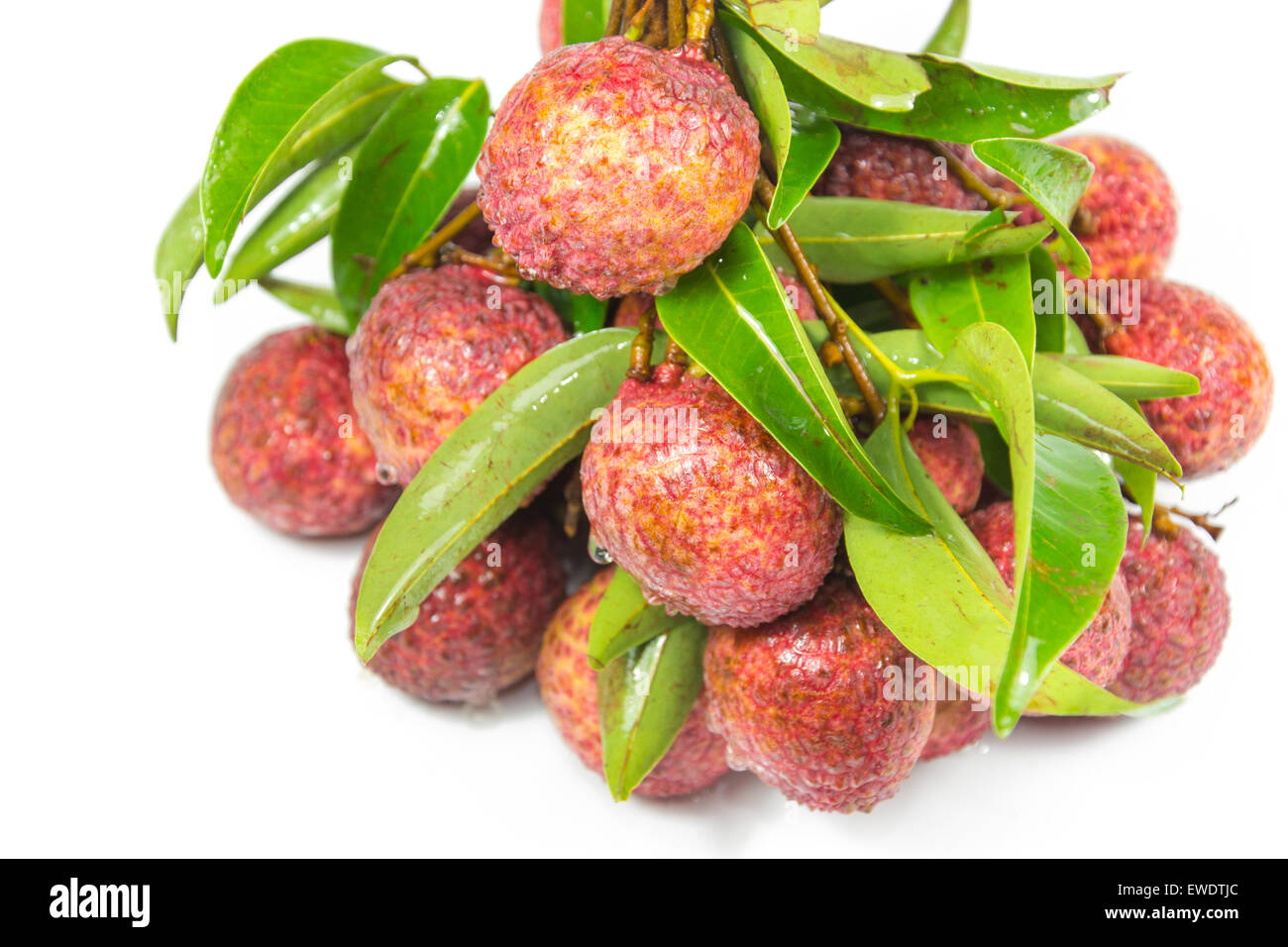 There are many Lychee types but the most popular one will be Chakrapad ...