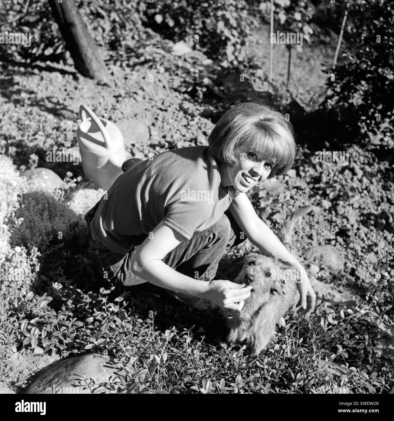 Deutsche Schauspielerin Heidi Mahler mit ihrem Hund in Hamburg ...