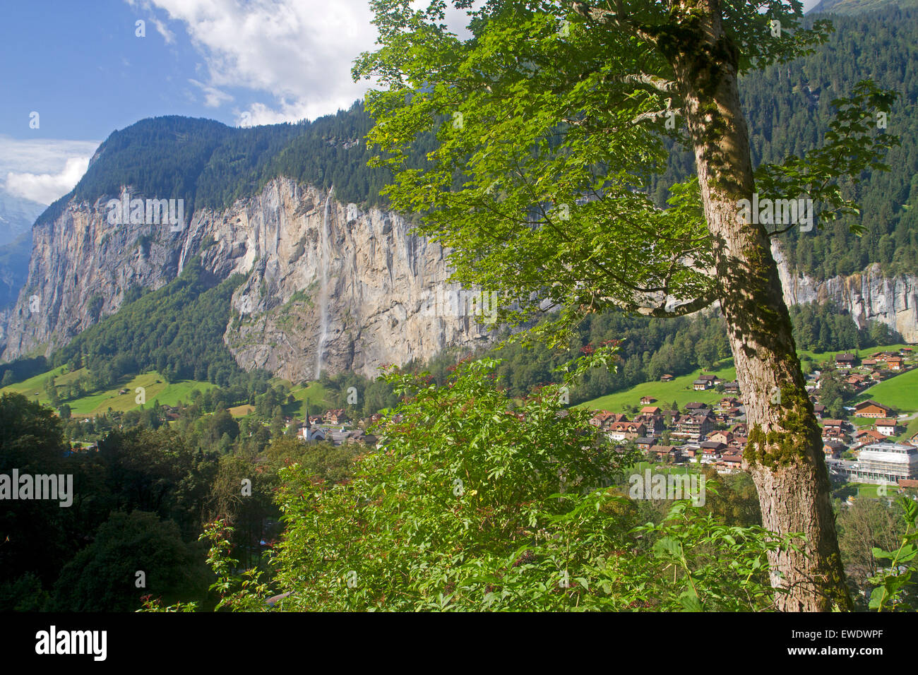 Staubbach Falls, pouring into the Lauterbrunnen valley Stock Photo - Alamy