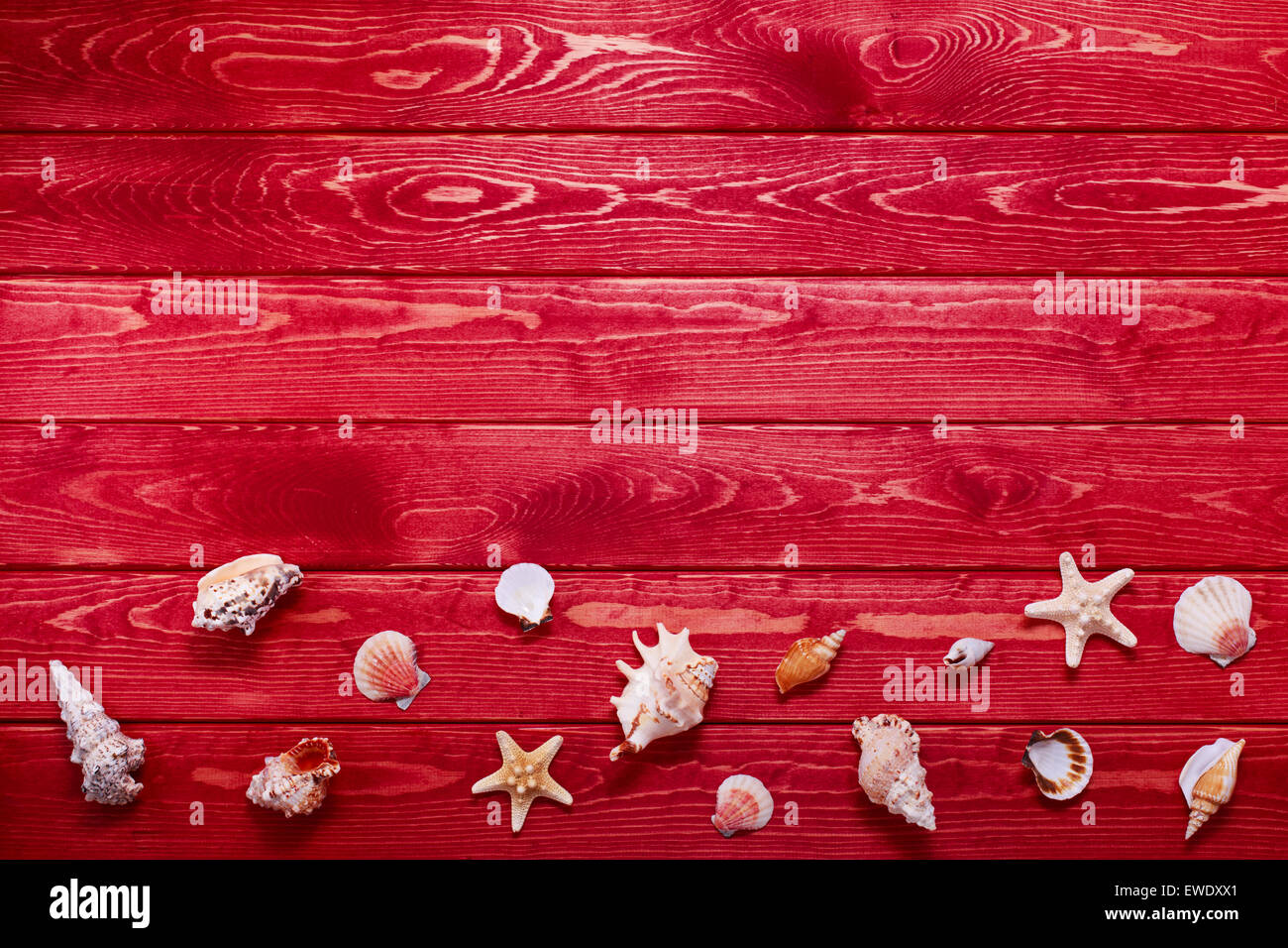 Summer background with sea shells Stock Photo - Alamy