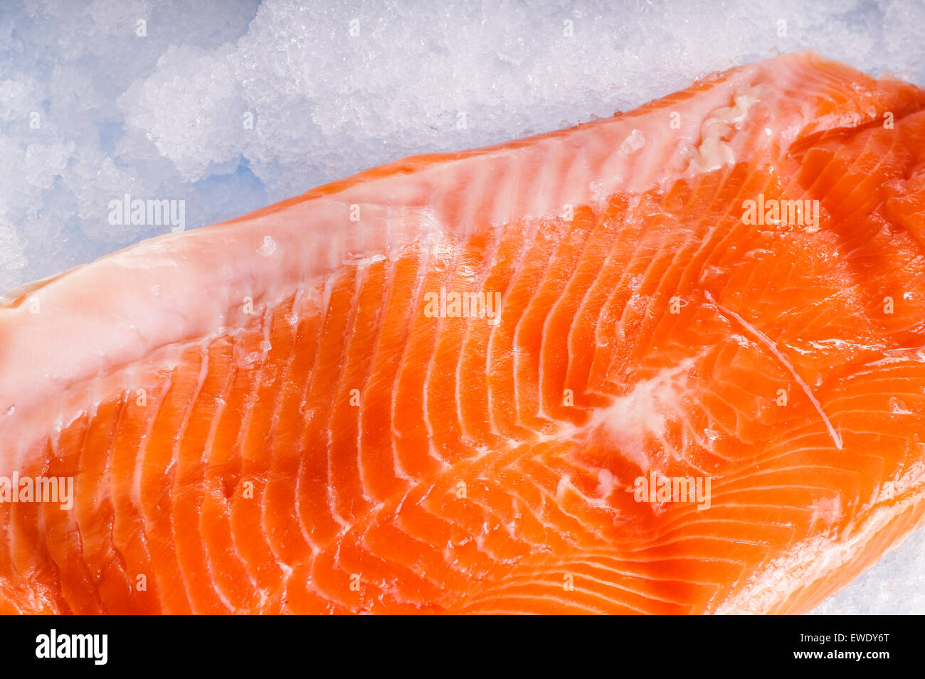 Raw wild Salmon Fillet lying on ice Stock Photo - Alamy
