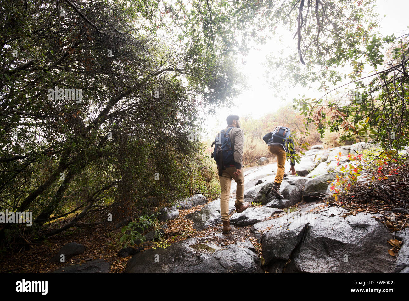 Two young men carrying backpacks hiking Stock Photo - Alamy