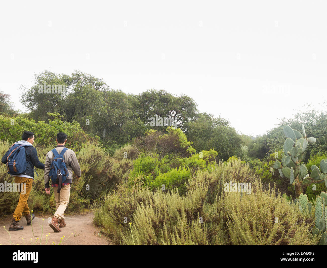 Two young men walking in a park, carrying backpacks Stock Photo - Alamy