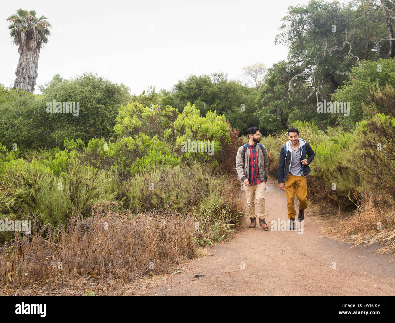 Two young men hiking in hi-res stock photography and images - Alamy