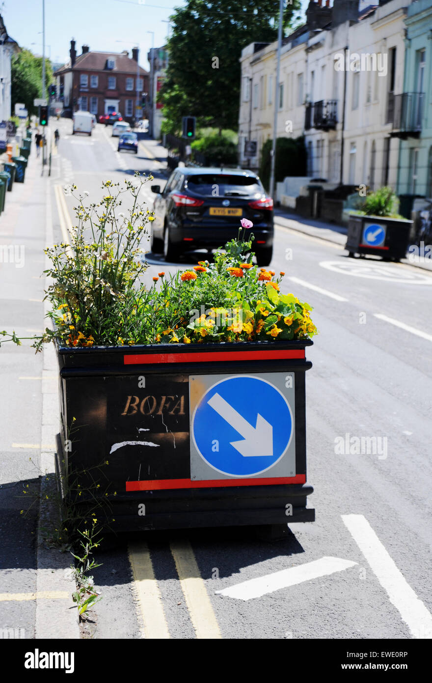Plants coming to life hi-res stock photography and images - Alamy