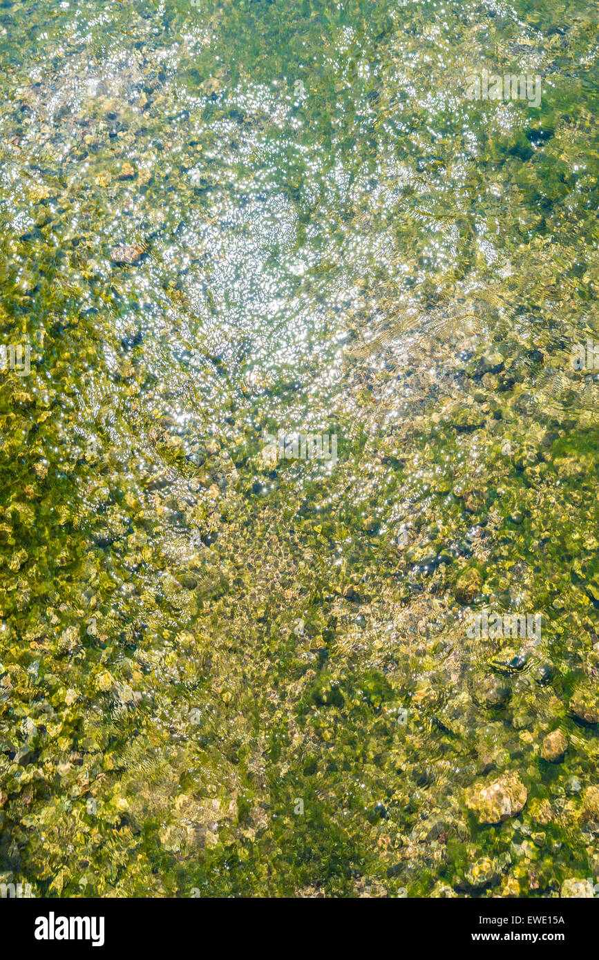 Calm river clear water hi-res stock photography and images - Alamy