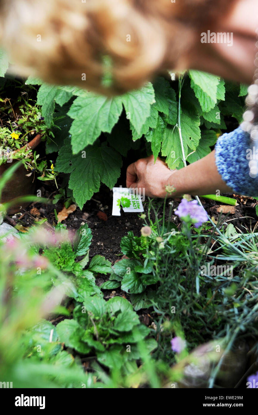 Woman planting 'Love in a Mist' flower seeds for We are Macmillan ...