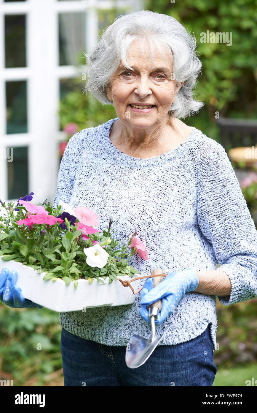 Woman planting flowers hi-res stock photography and images - Alamy