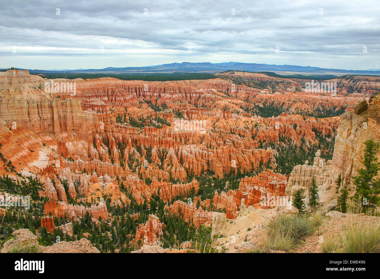 Bryce Amphitheater, Bryce Canyon National Park, Utah, USA Stock Photo ...