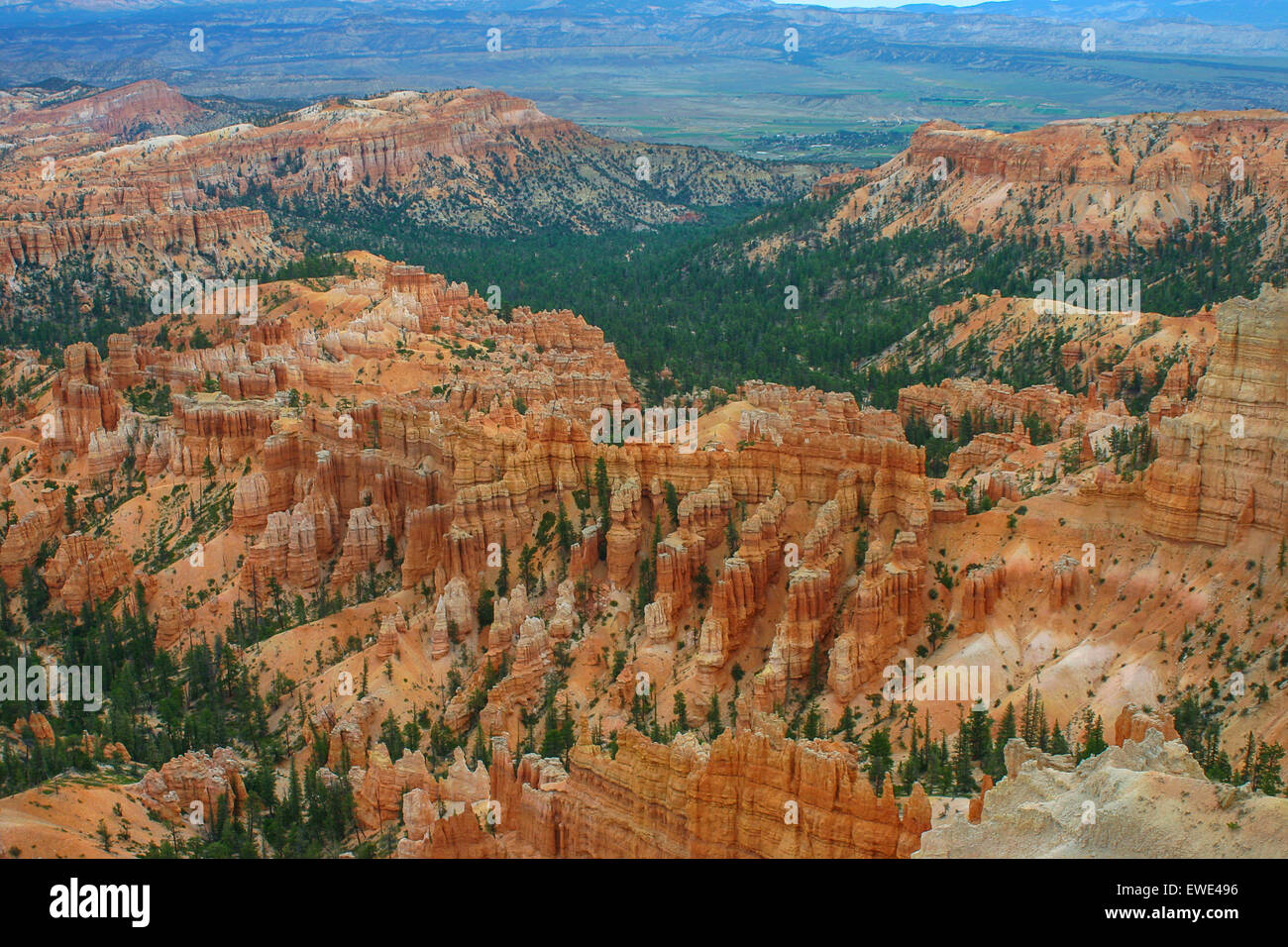 Bryce Amphitheater, Bryce Canyon National Park, Utah, USA Stock Photo ...