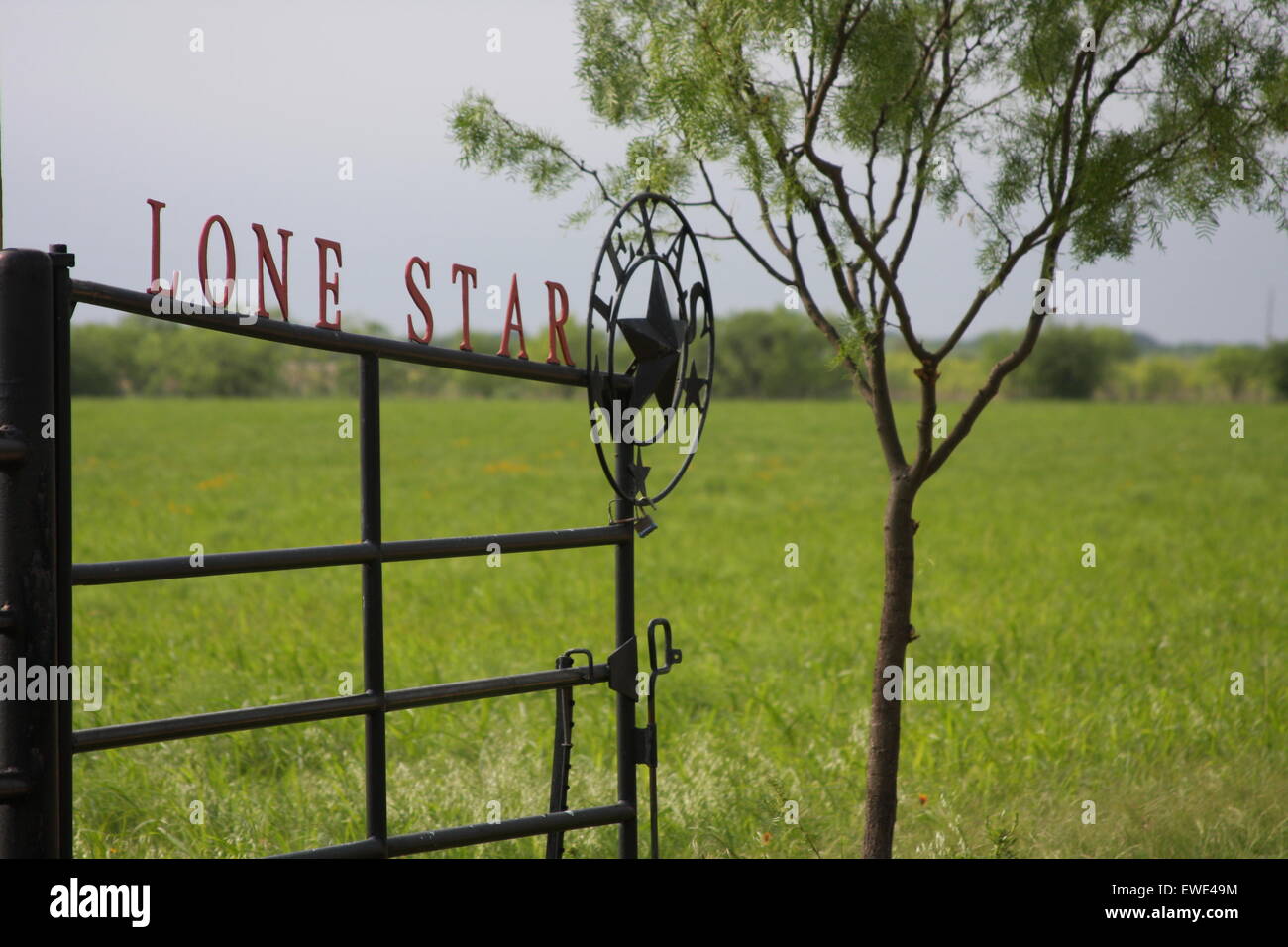 Texas gate hi-res stock photography and images - Alamy