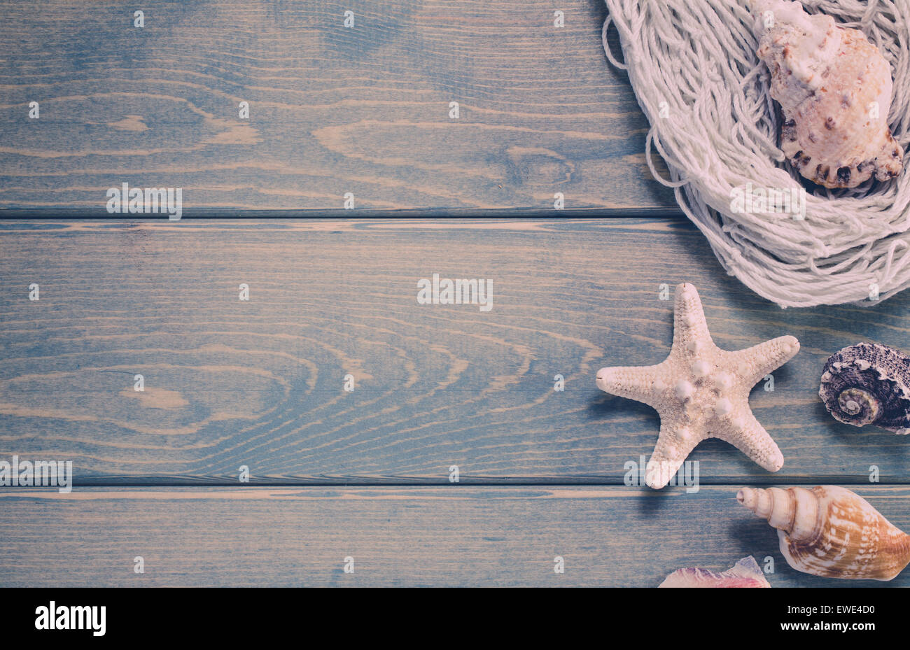 Summer background with sea shells Stock Photo - Alamy