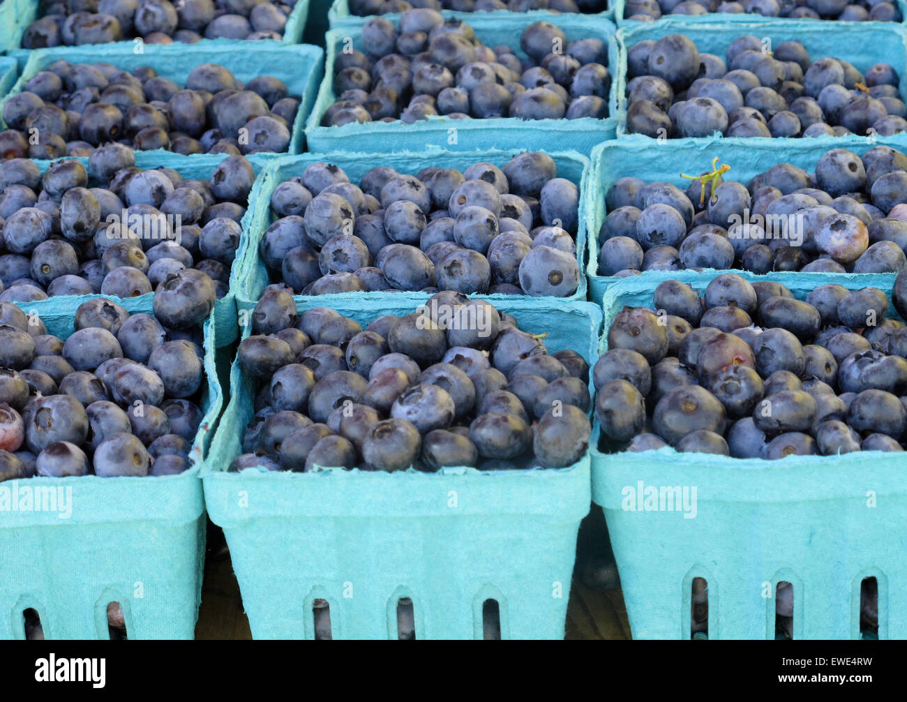 Blueberries in boxes for sale Stock Photo - Alamy