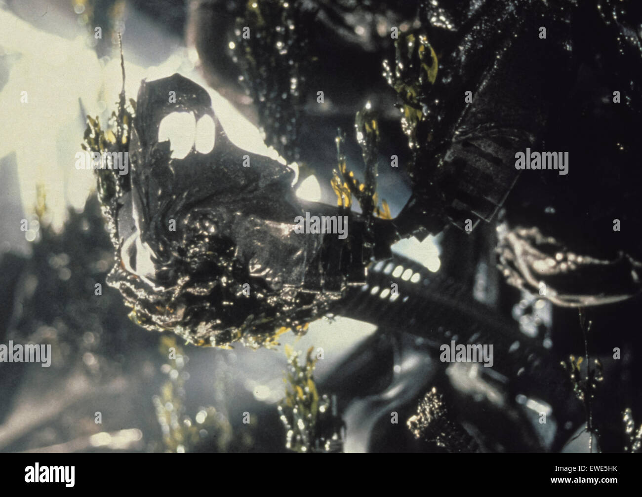 Alien 3 hi-res stock photography and images - Alamy