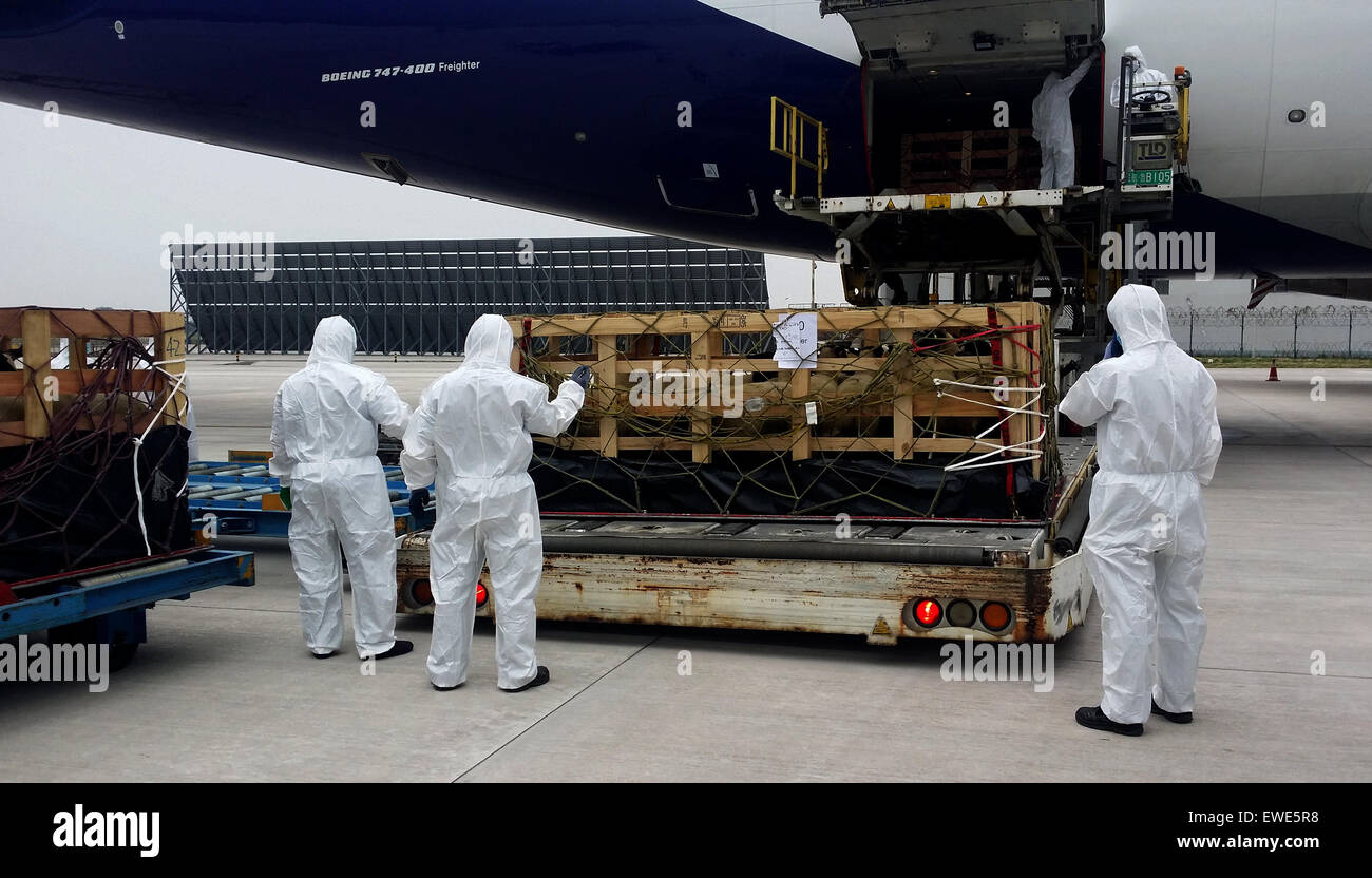 Sheep inspection hi-res stock photography and images - Alamy
