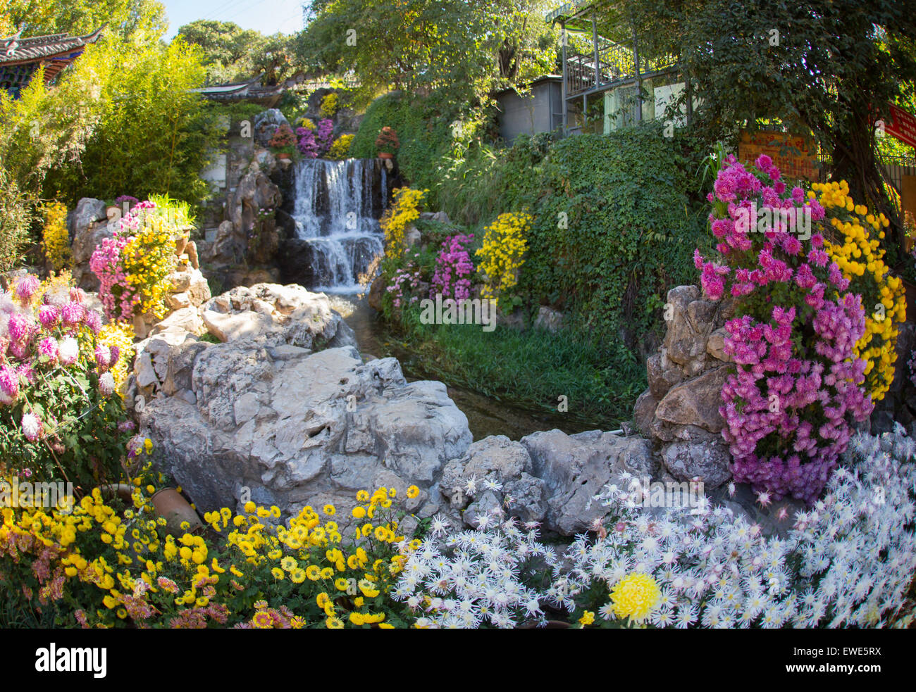Beautiful Chinese garden Stock Photo - Alamy