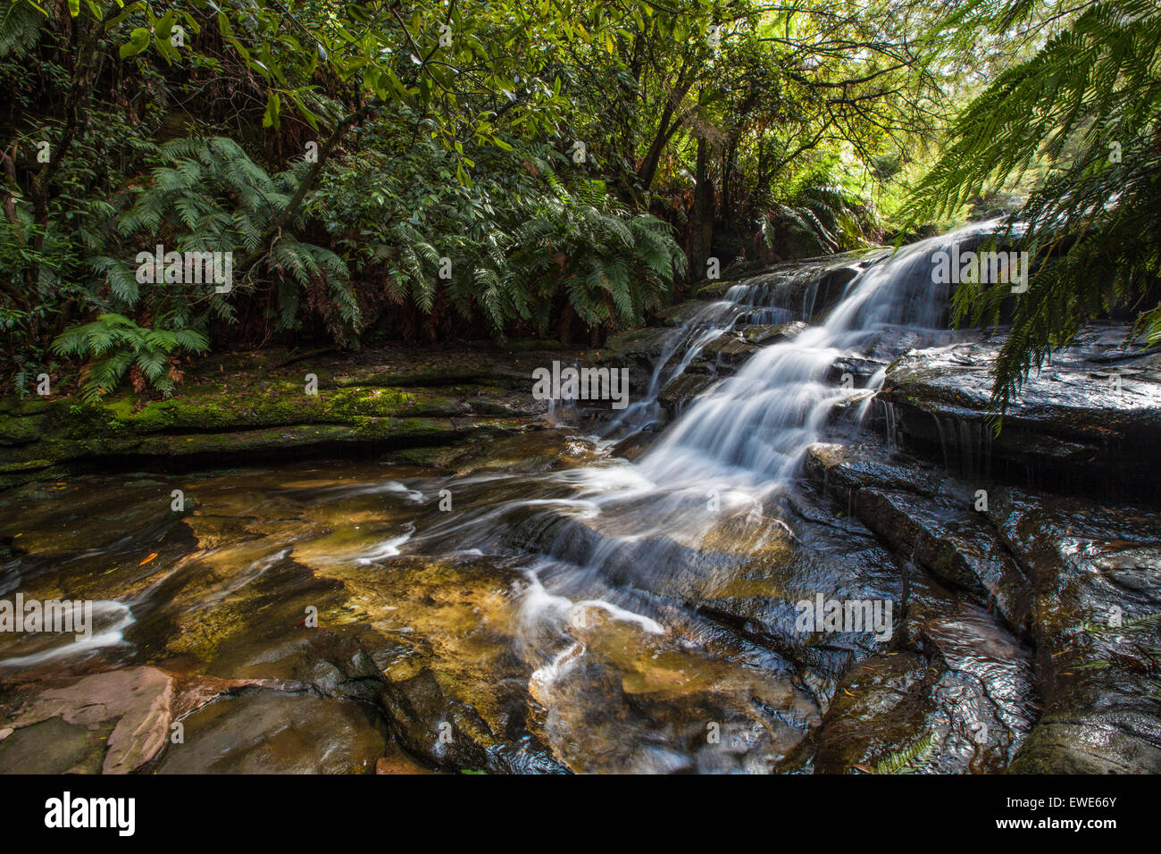 Leura cascades hi-res stock photography and images - Alamy