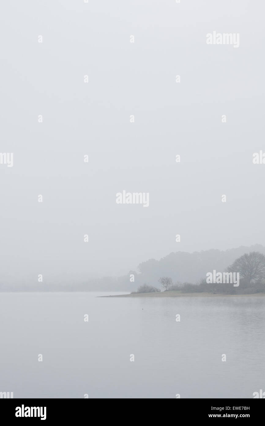 Swamp fog hi-res stock photography and images - Alamy