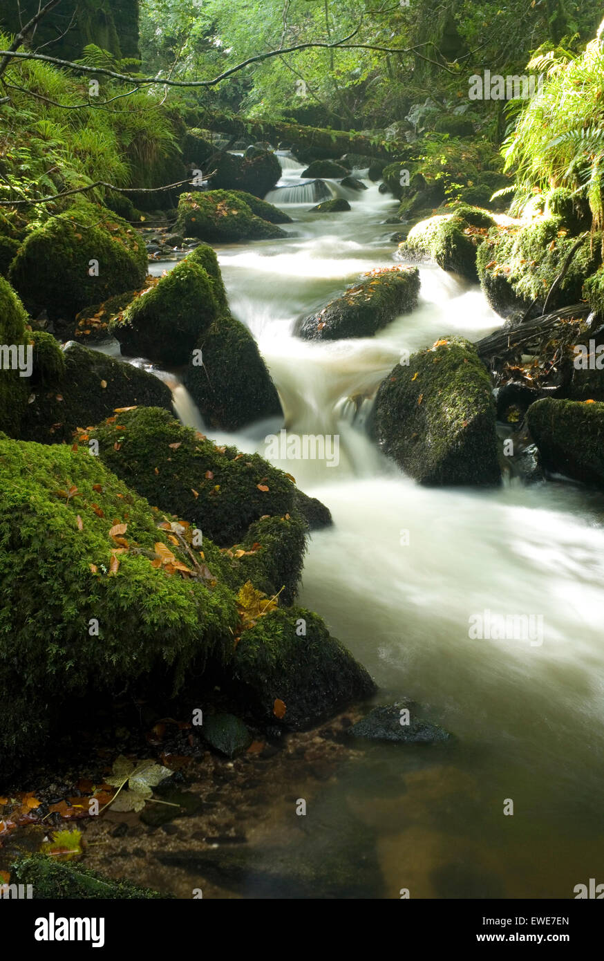 Fast running water hi-res stock photography and images - Alamy