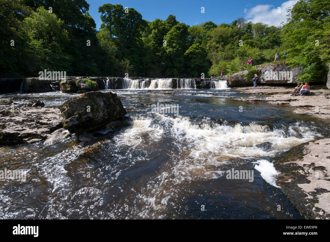 Aysgarth Falls in the Yorkshire Dales National Park on the River Ure in ...