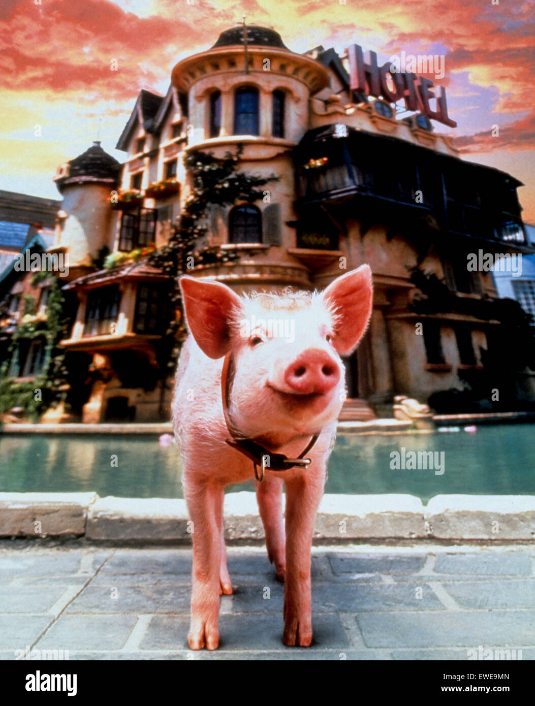 Babe: Pig in the City Stock Photo - Alamy
