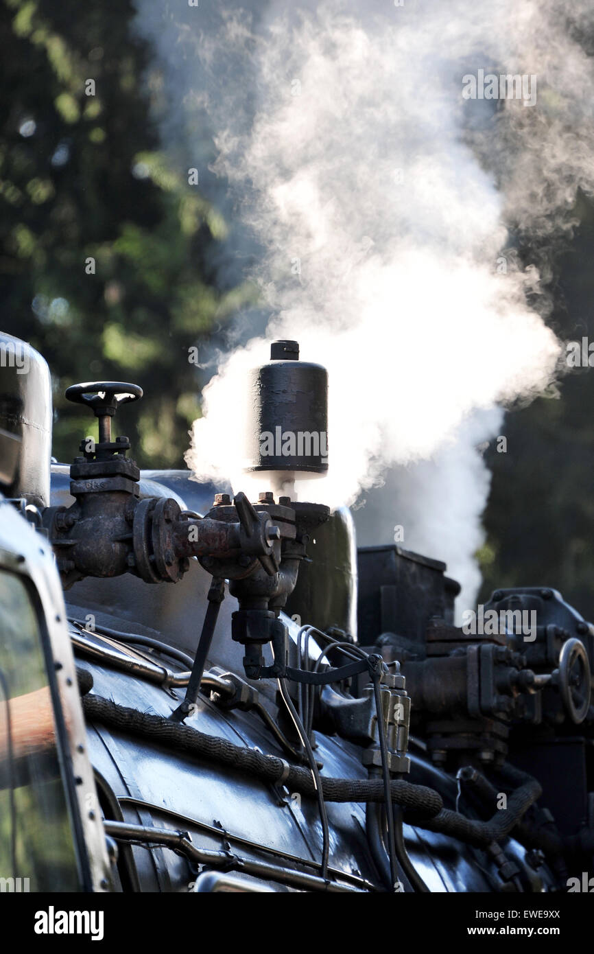Drei Annen Hohne, Germany, Brockenbahn Stock Photo - Alamy