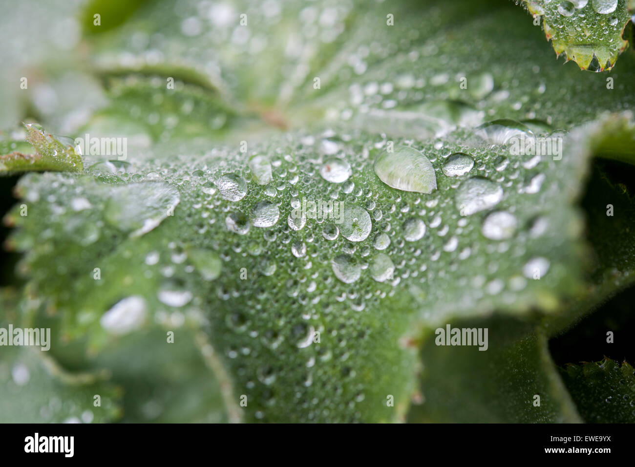 Lower mantle hi-res stock photography and images - Alamy