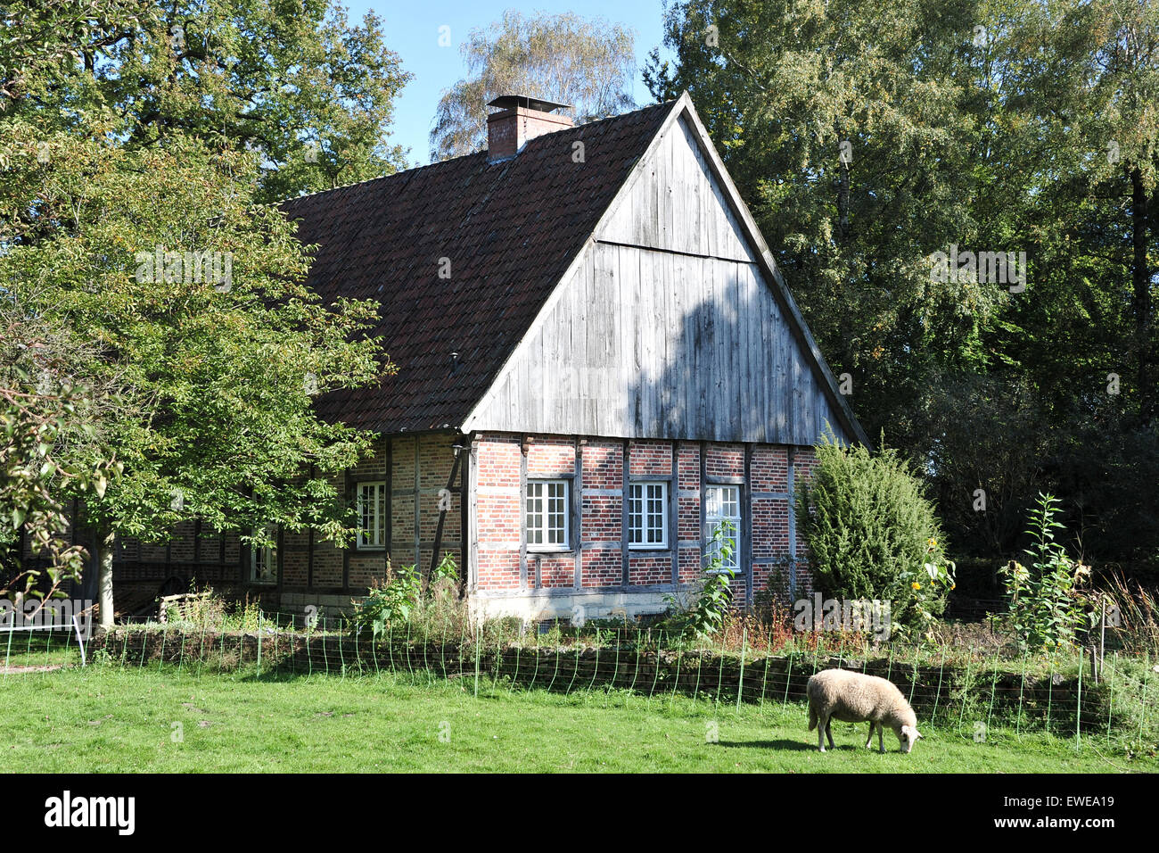 Muhlenhof freilichtmuseum hi-res stock photography and images - Alamy