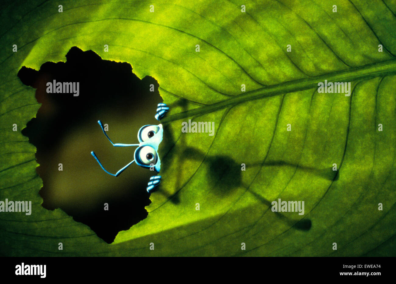 A Bug's Life Stock Photo - Alamy