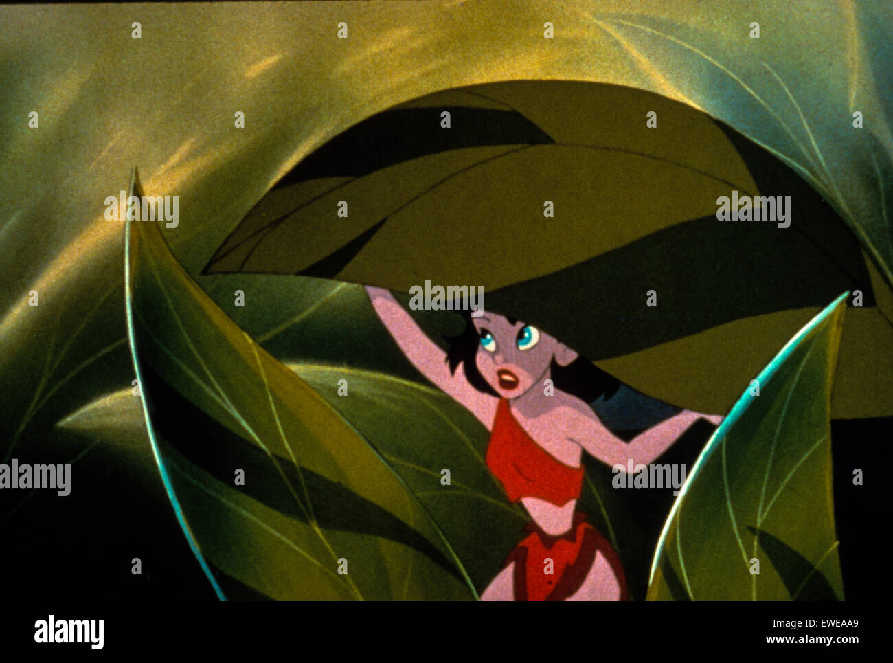 Ferngully hi-res stock photography and images - Alamy