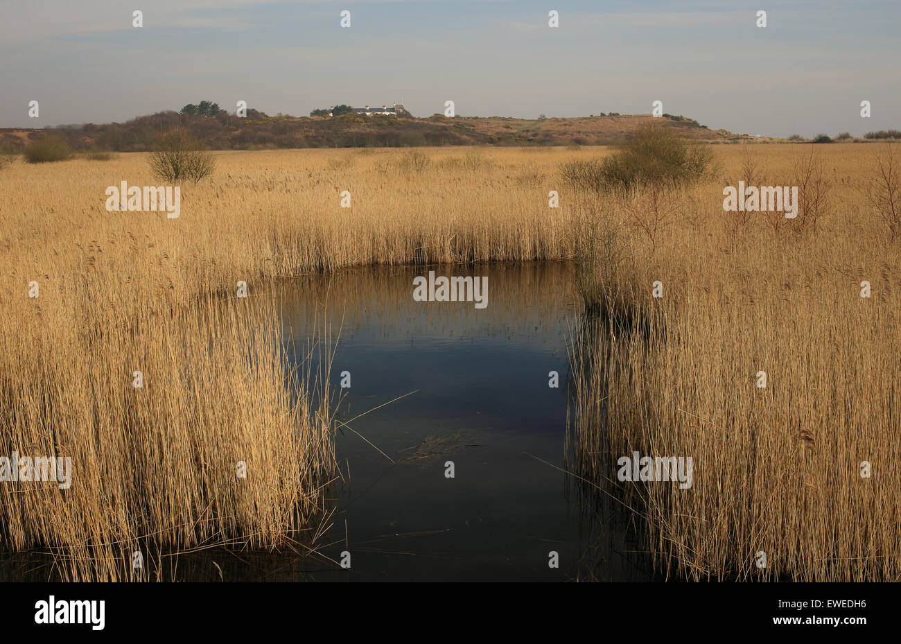 Rspb minsmere landscape hi-res stock photography and images - Alamy