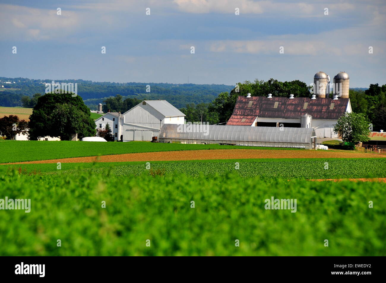 Lancaster County, Pennsylvania: Fields of Summer crops surround a ...