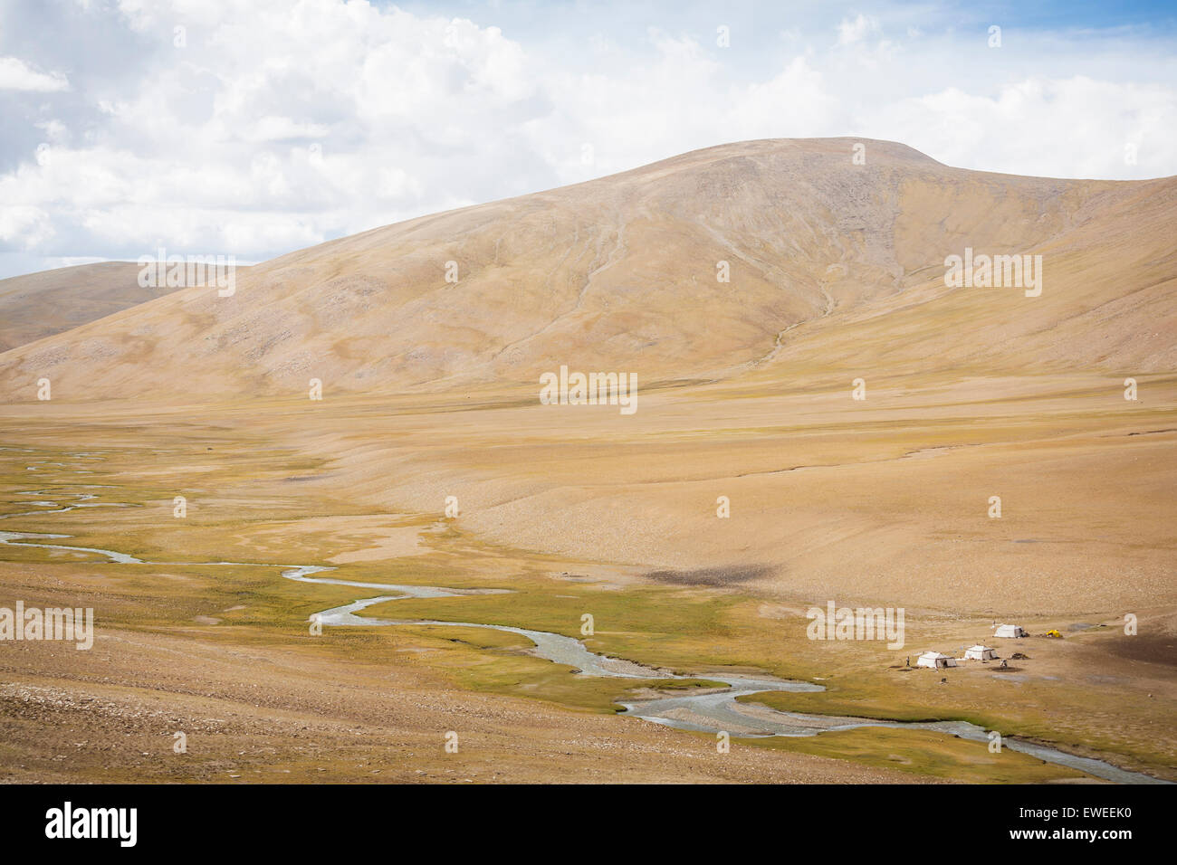A nomadic grazing camp in the Changtang region, Ladakh, India Stock ...