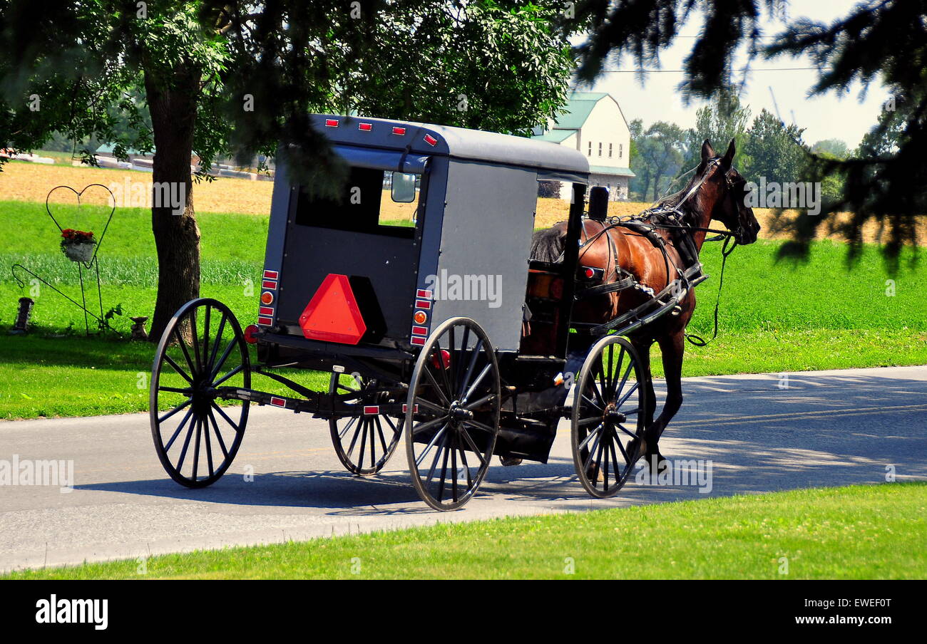 Lancaster County, Pennsylvania: Traditional Amish enclosed buggy pulled ...