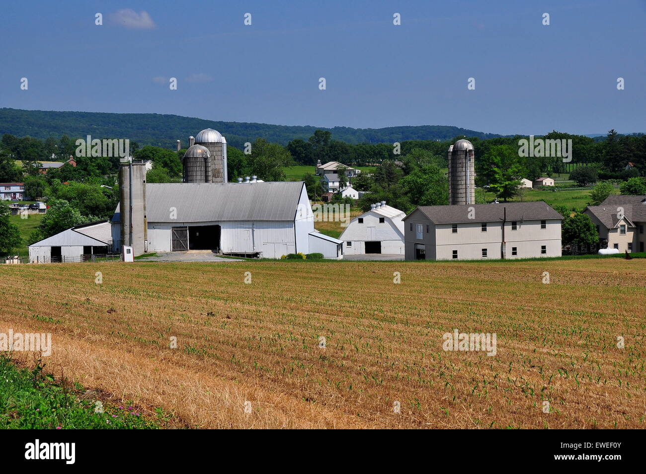 Lancaster County, Pennsylvania: Pristine Amish farm with silos, barns ...