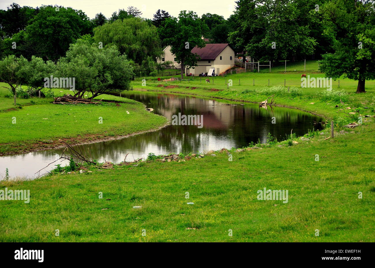 Ronks, Pennsylvania: A small stream meanders past verdant farmlands and ...