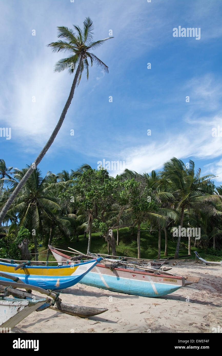 Beach with narrow turquoise light wood boats on the Rocky Point beach ...