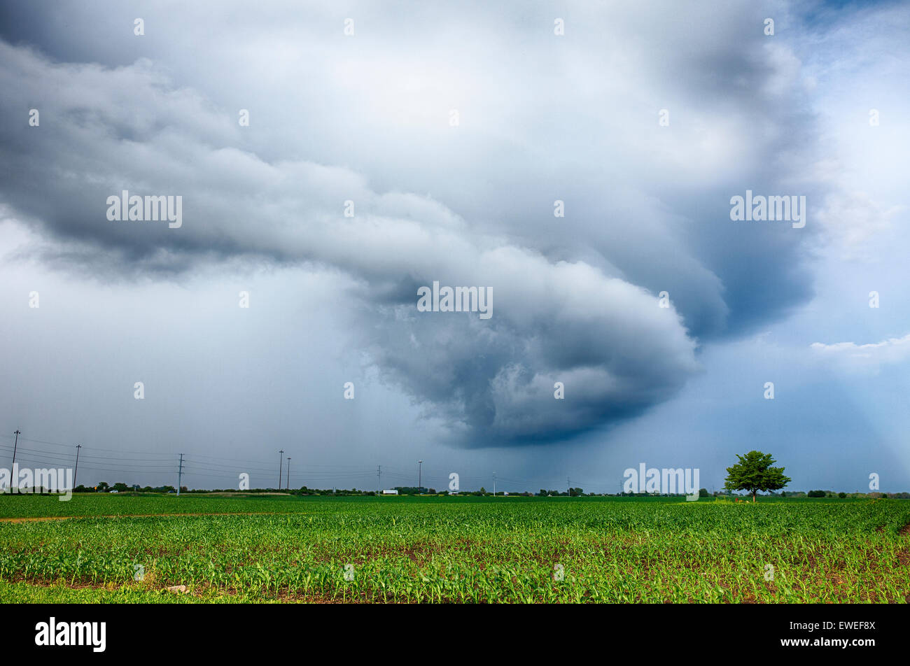 Spinning Storm Cloud Over Corn Field Stock Photo - Alamy