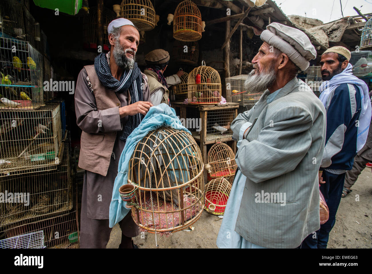 Man in traditional Afghan clothes buys pheasant on the birds market in ...
